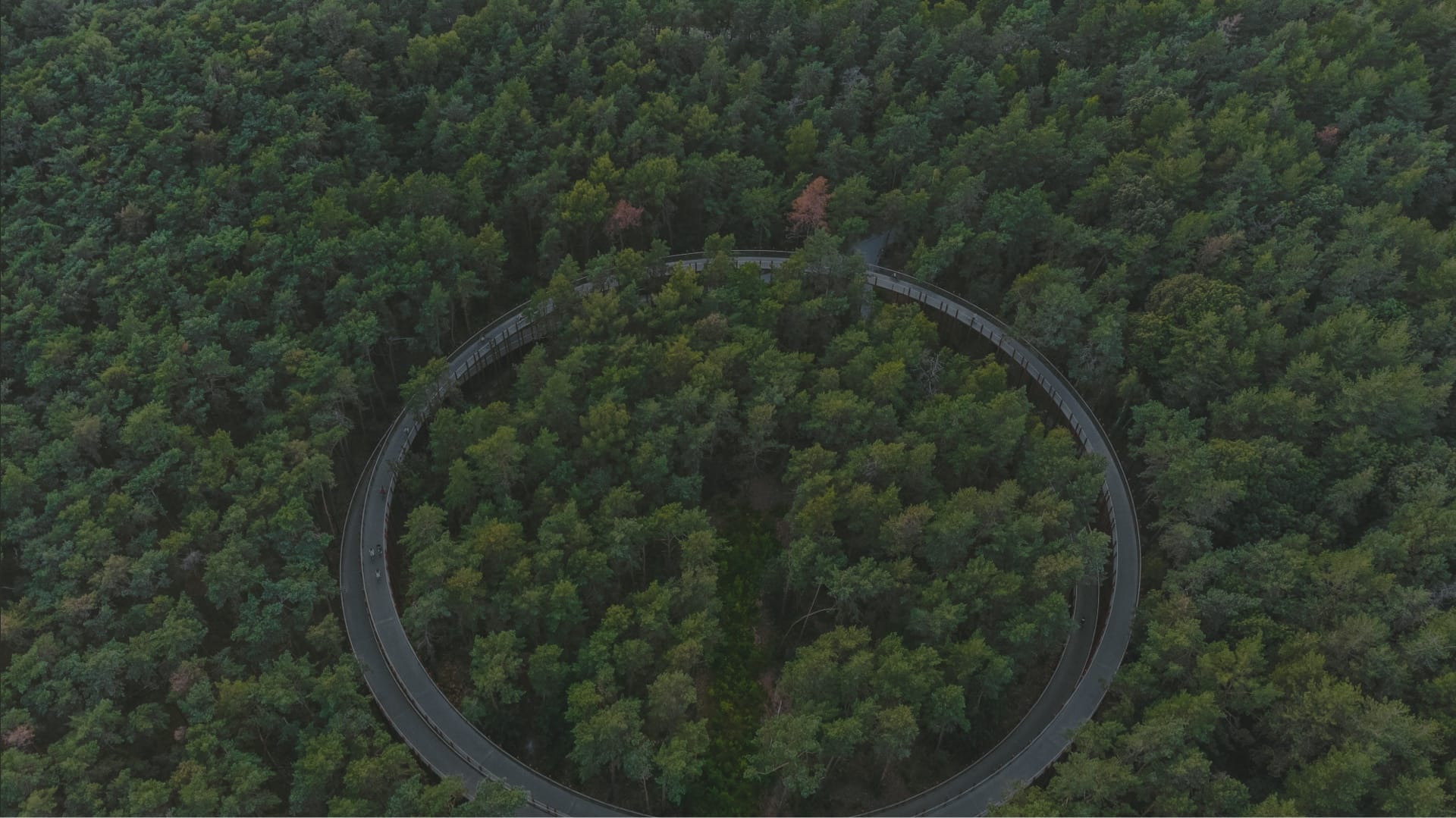 Welsh Government Panel of Counsel- Joanne Williams, Mona Bayoumi ...